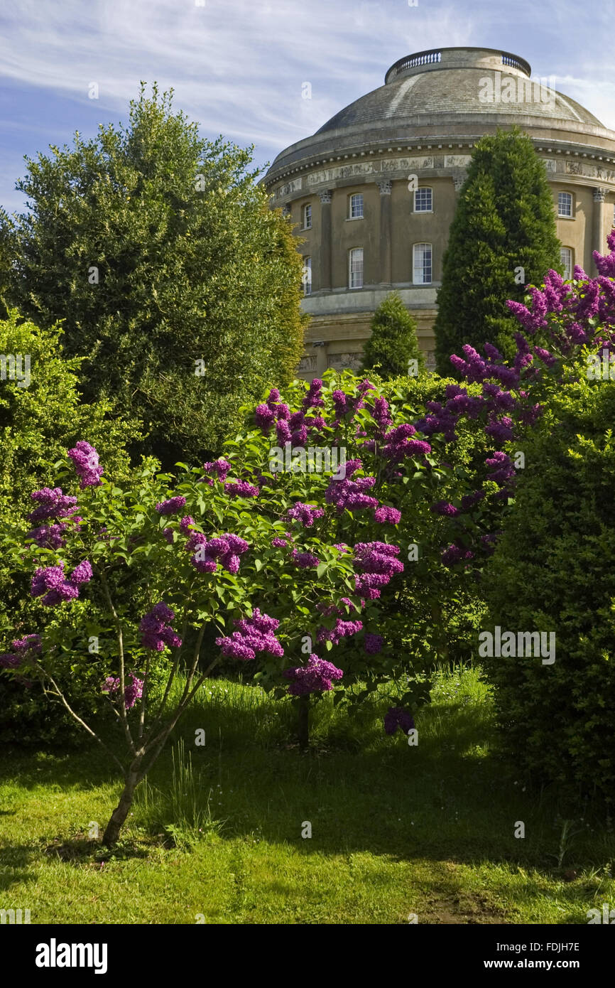 A view over the lilacs to Ickworth, Bury St Edmunds, Suffolk. The ...