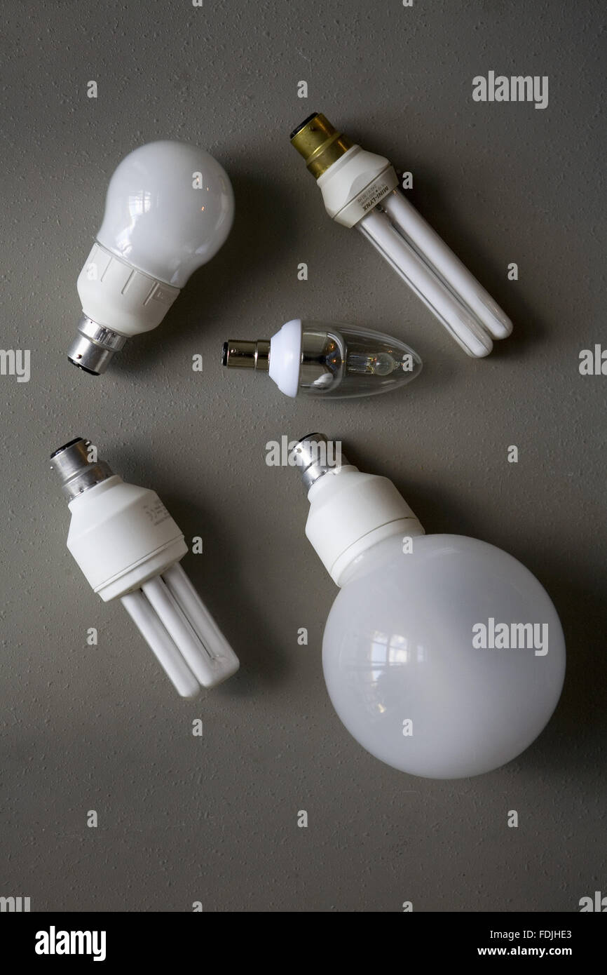A variety of differently shaped energy efficient light bulbs ready to ...