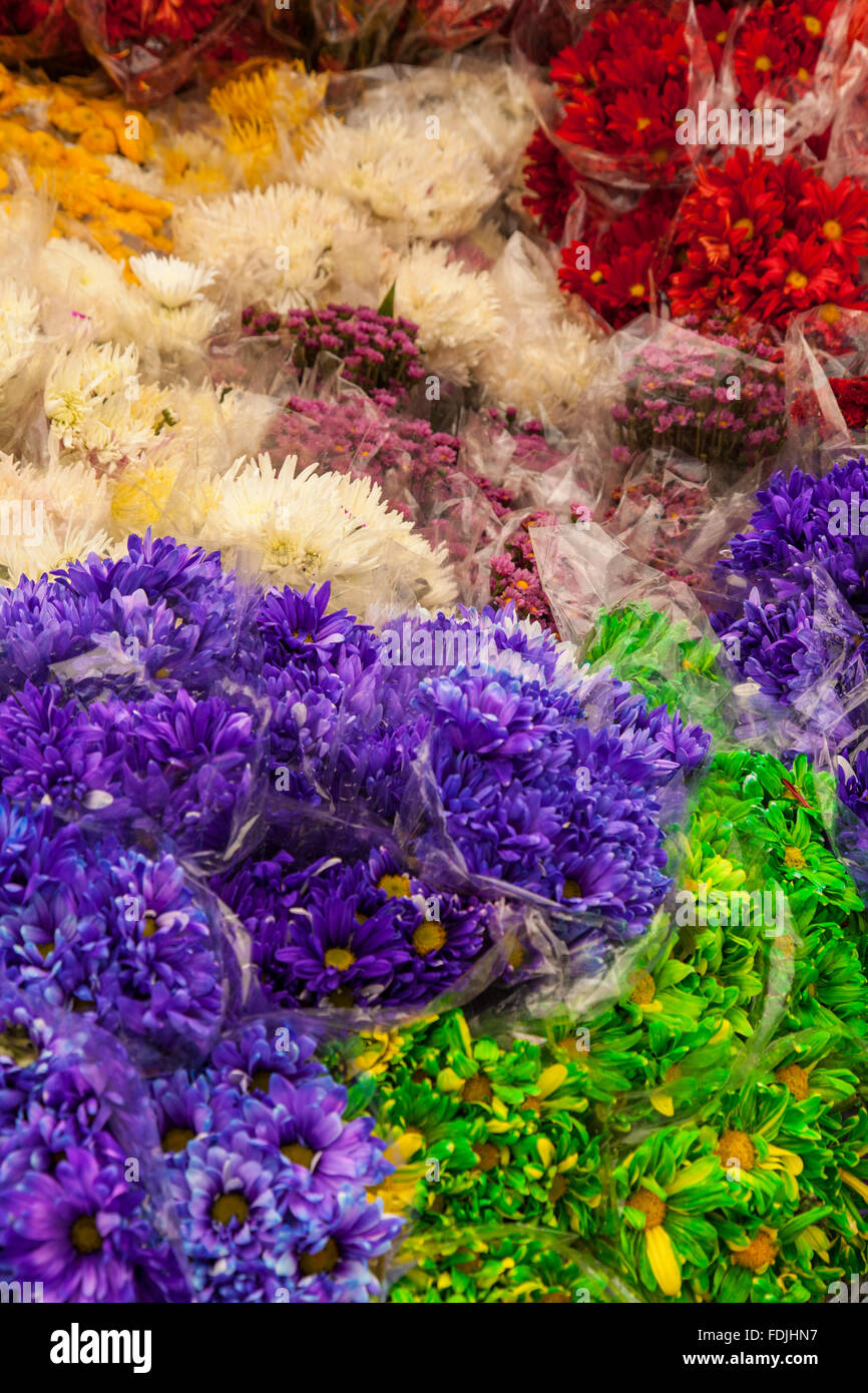 Equatorial flower hi-res stock photography and images - Alamy