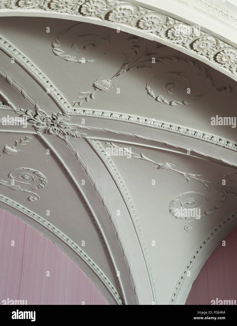 Plaster Plasterwork Ceiling High Resolution Stock Photography and ...