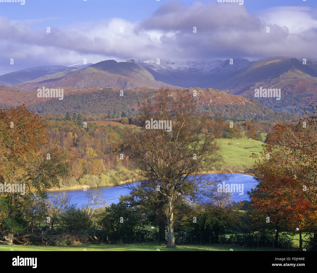 From High Wray Farm looking down to Blelham Tarn near Hawkshead, Lake ...