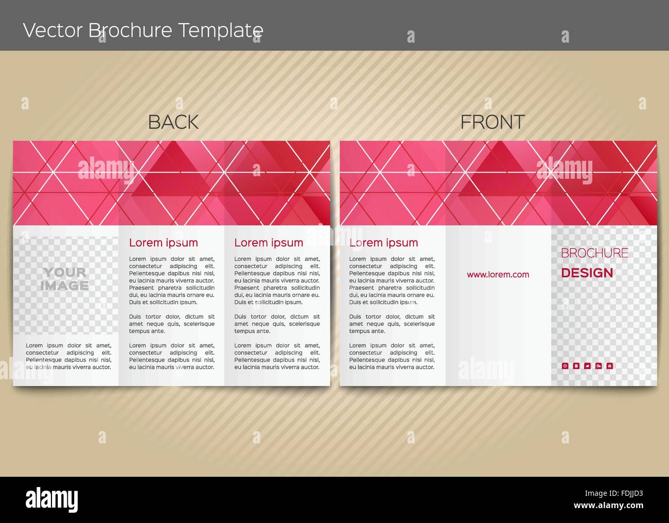 Vector template for leaflet Stock Vector Image & Art - Alamy