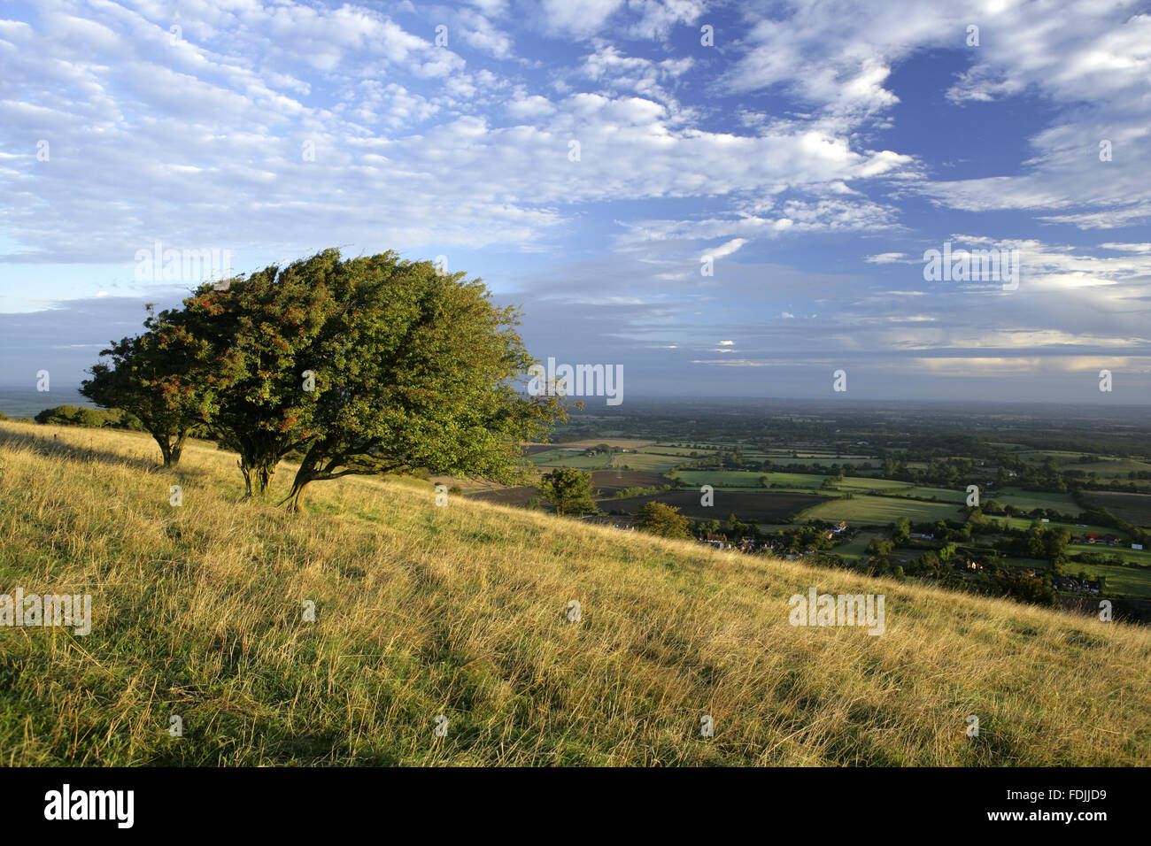 Fulking escarpment south downs west hi-res stock photography and images ...
