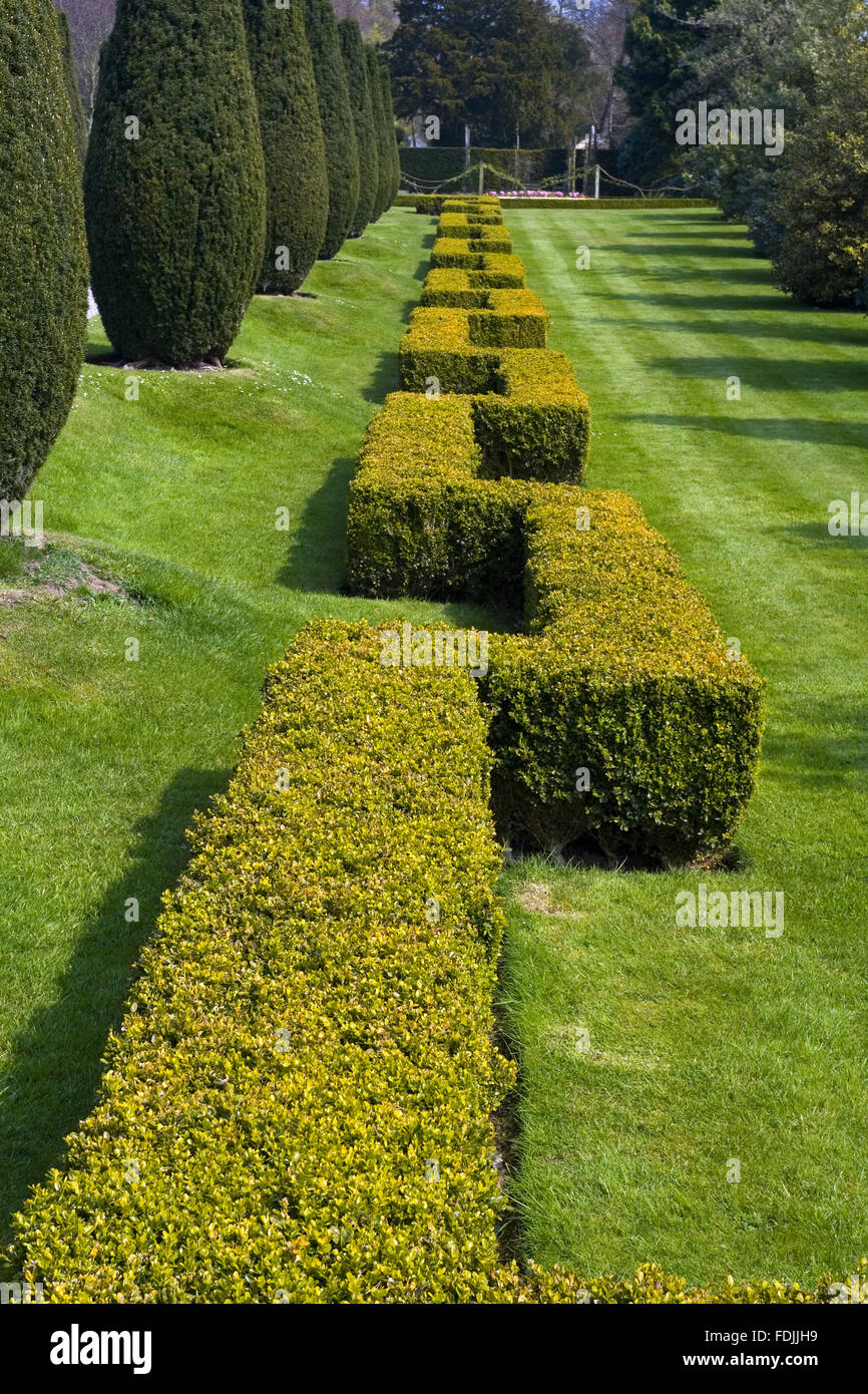 Geometric box hedging on the lawn at Erddig, Wrexham, Wales Stock Photo ...