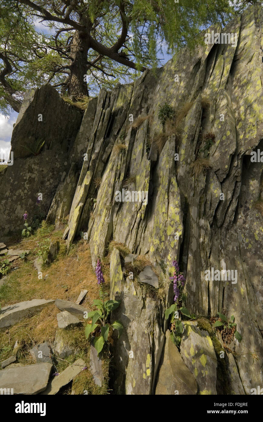 Quarry at castle crag hi-res stock photography and images - Alamy
