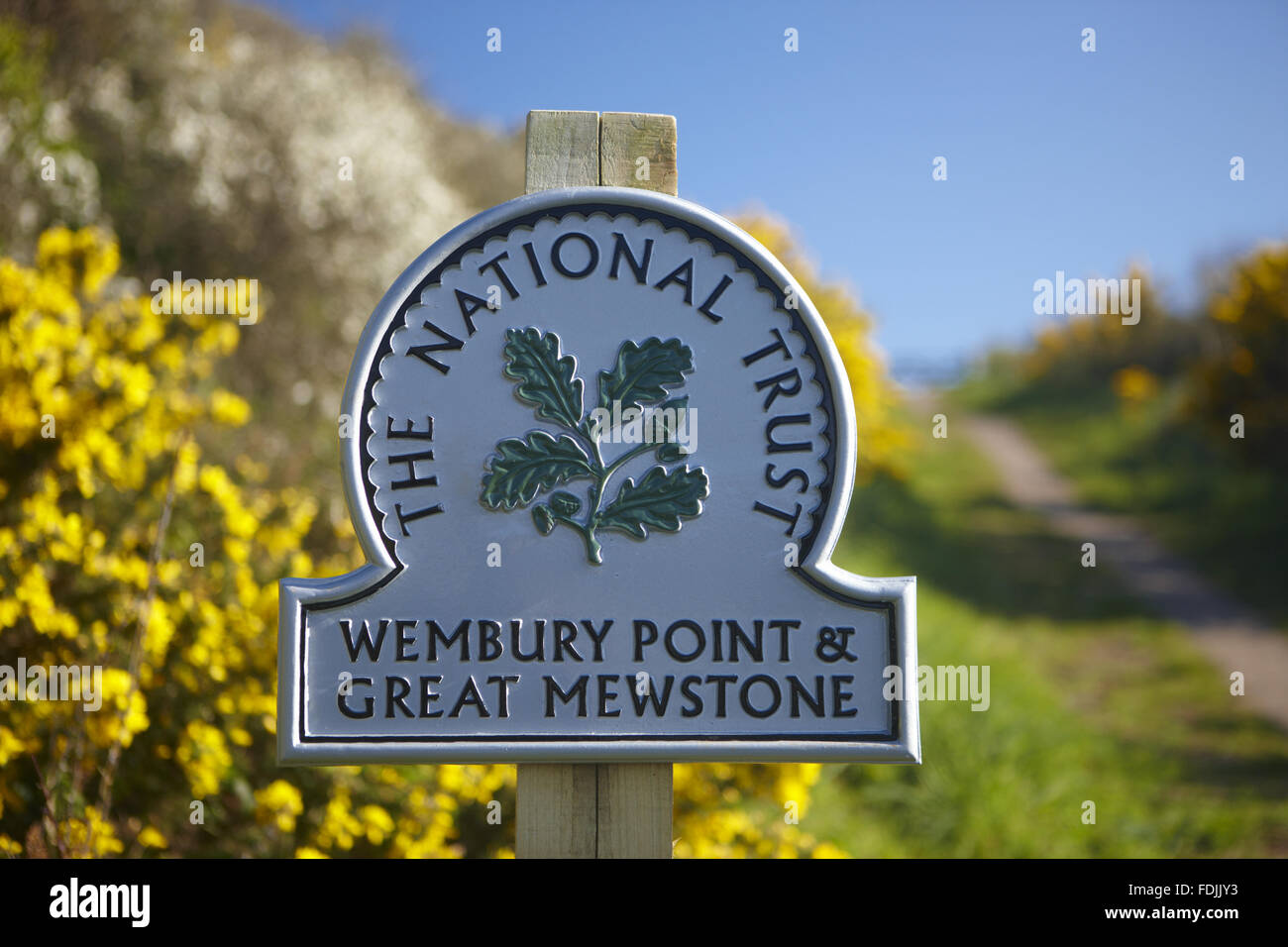 The great mewstone hi-res stock photography and images - Alamy