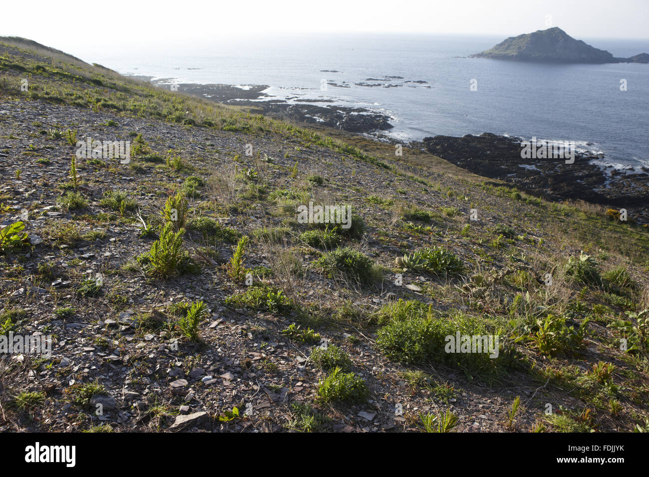 The Great Mew Stone High Resolution Stock Photography and Images - Alamy