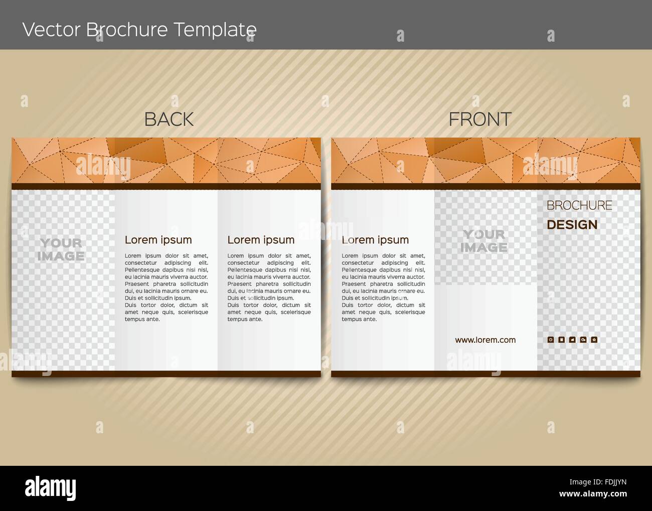 Vector template for leaflet Stock Vector Image & Art - Alamy