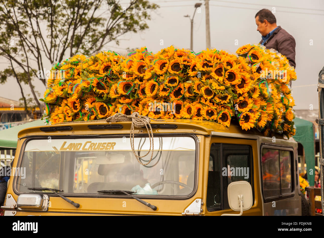 Flowers at Paloquemao farmers flower market in Bogota, Colombia, South ...