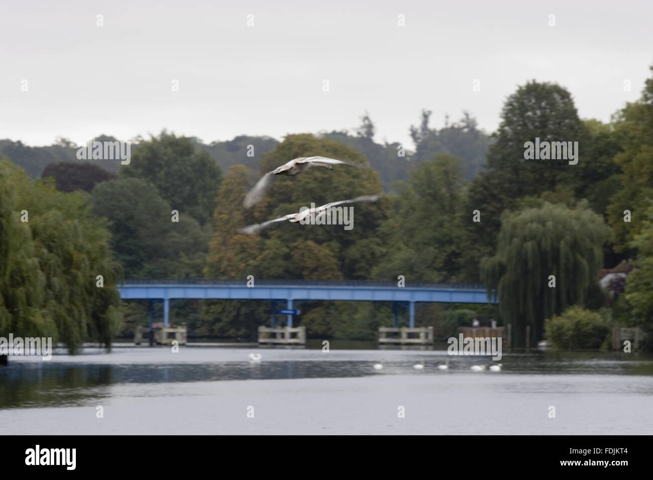 The River Thames at Cookham, Berkshire, with the road bridge in the ...