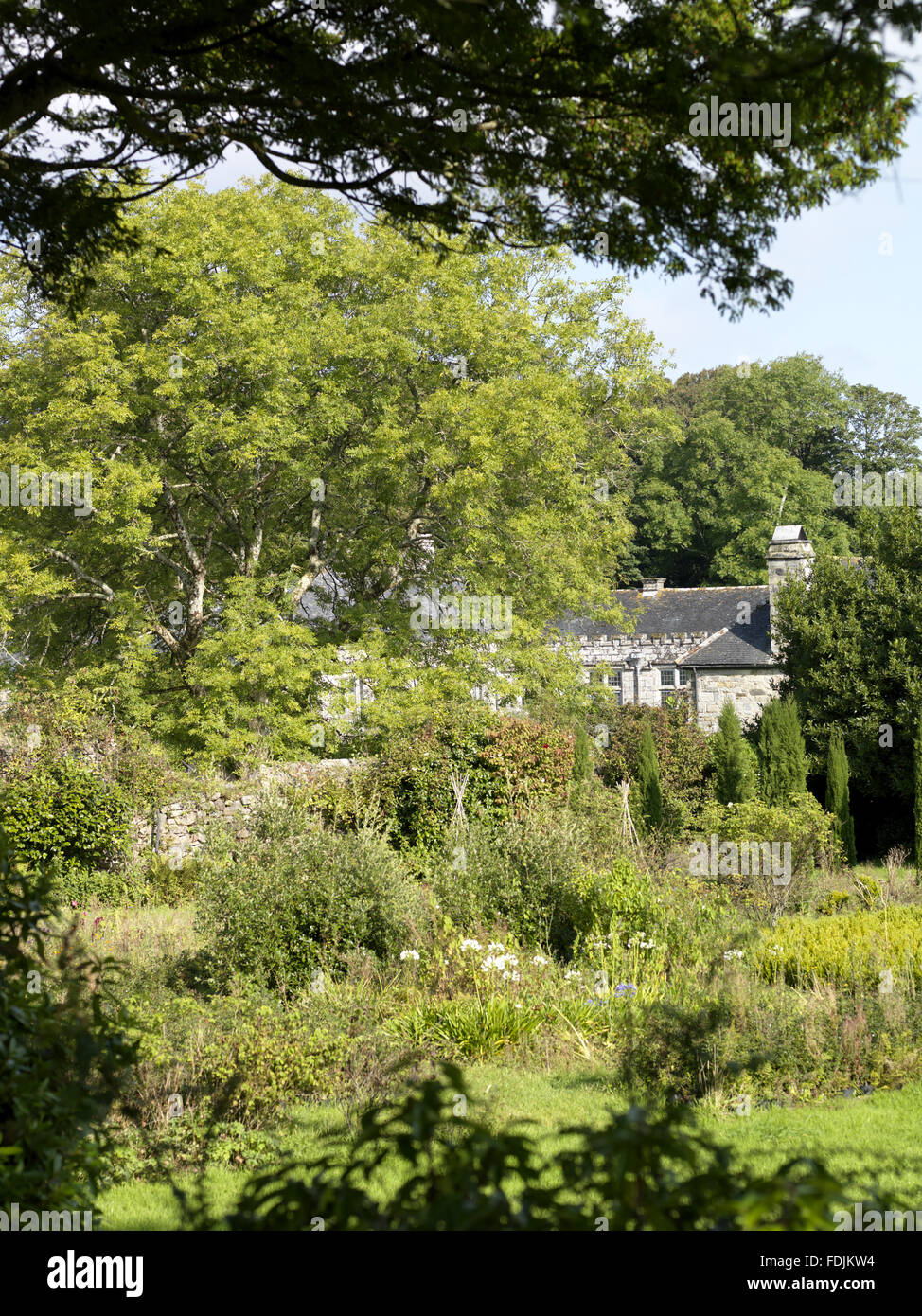 A glimpse through the overgrown garden towards Godolphin, near Helston ...