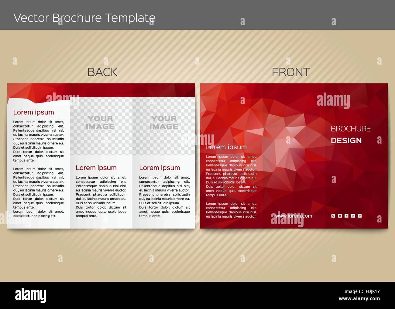 Vector template for leaflet Stock Vector Image & Art - Alamy