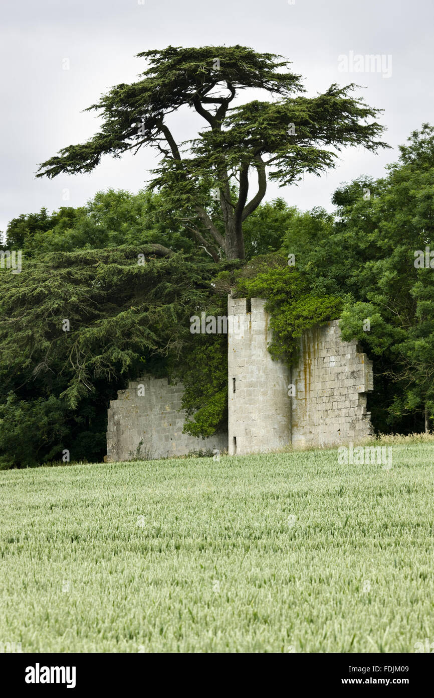 Pirton hi-res stock photography and images - Alamy