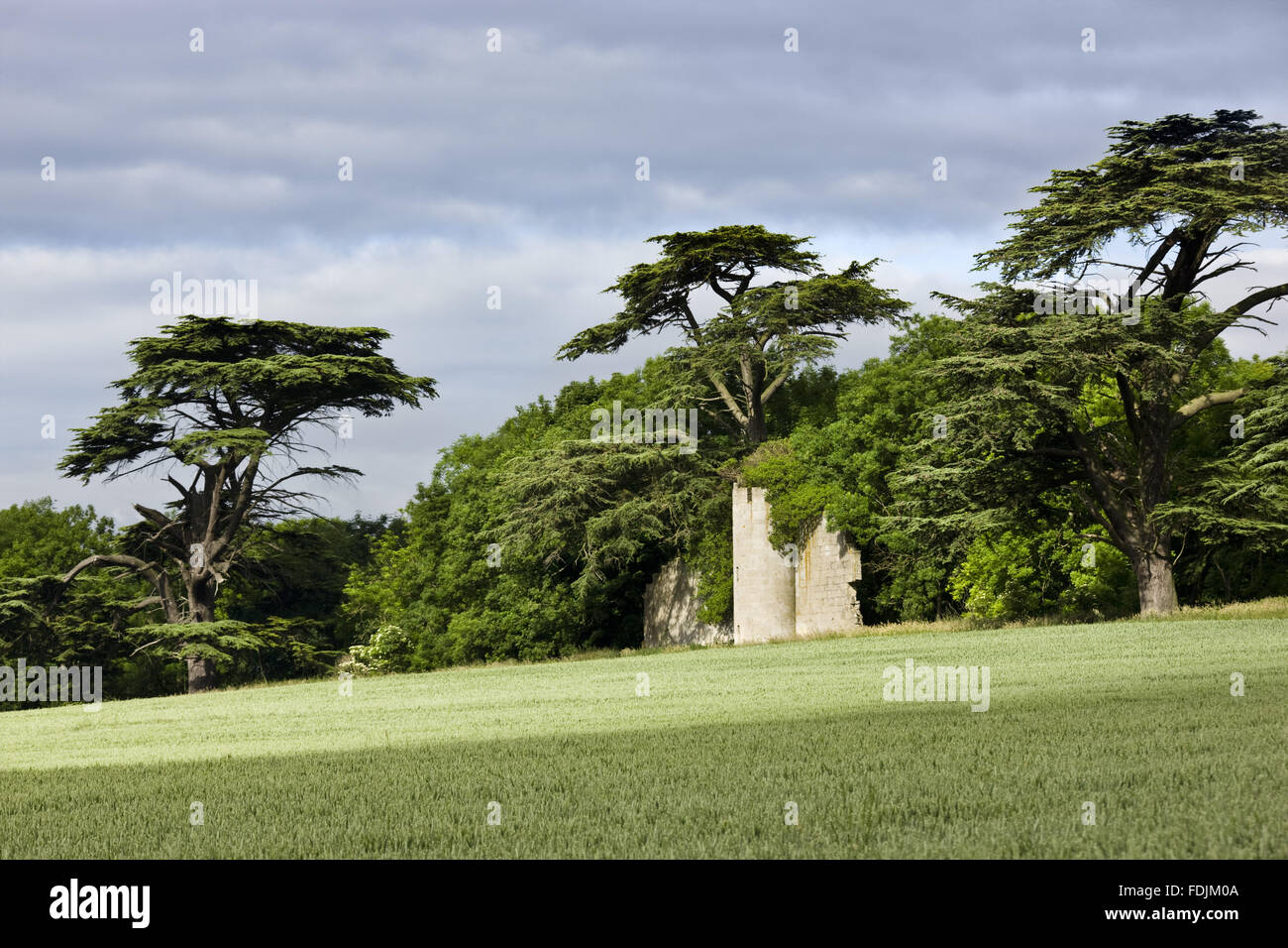 Pirton Castle at Croome Park, Croome D'Abitot, Worcestershire. James ...