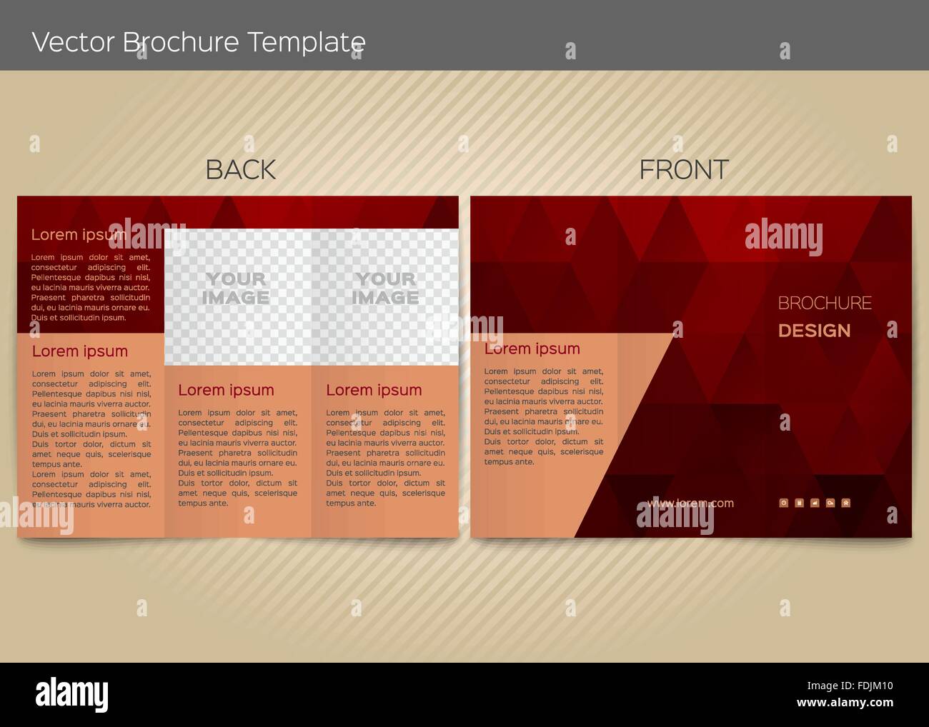 Vector template for leaflet Stock Vector Image & Art - Alamy