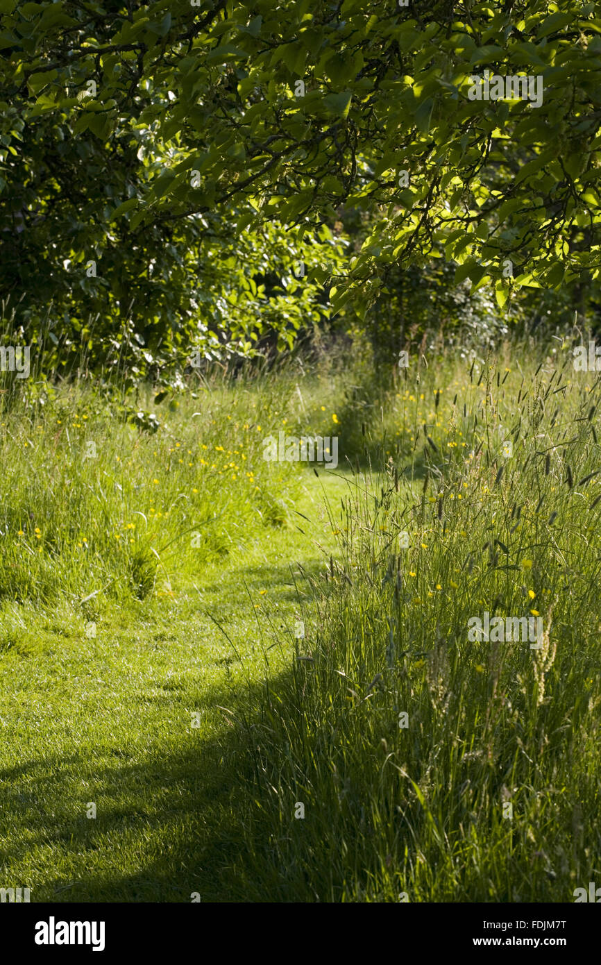 Mown path through meadow hi-res stock photography and images - Alamy