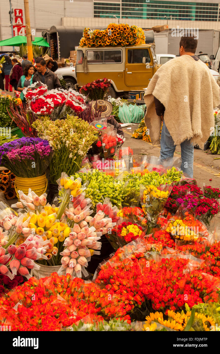 Flowers at Paloquemao farmers flower market in Bogota, Colombia, South ...