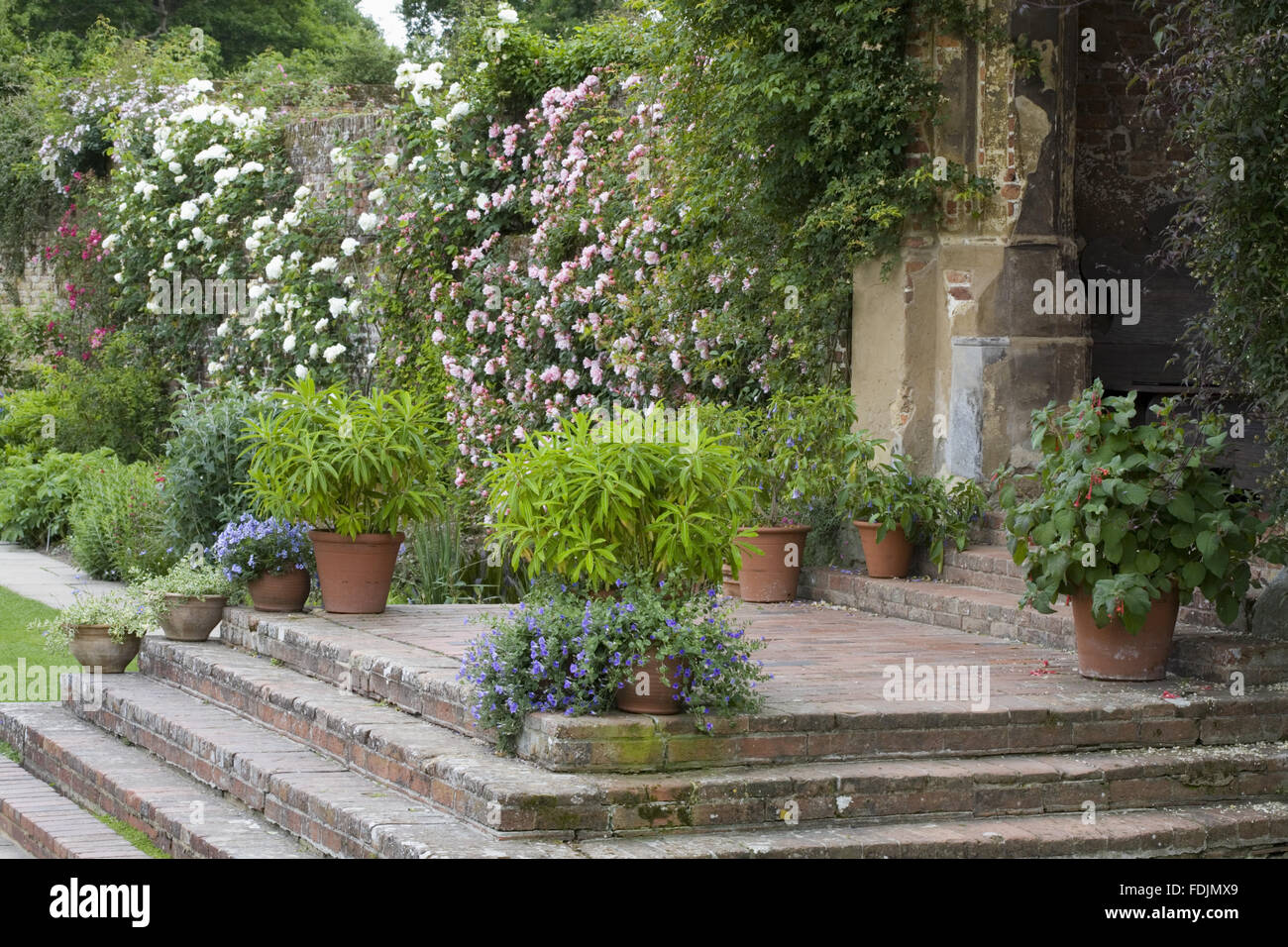 Pots on the broad steps at the base of the Elizabethan Tower in summer ...