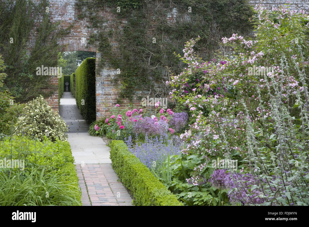Narrow paved path bordered by neat hedging in the Rose Garden in June ...