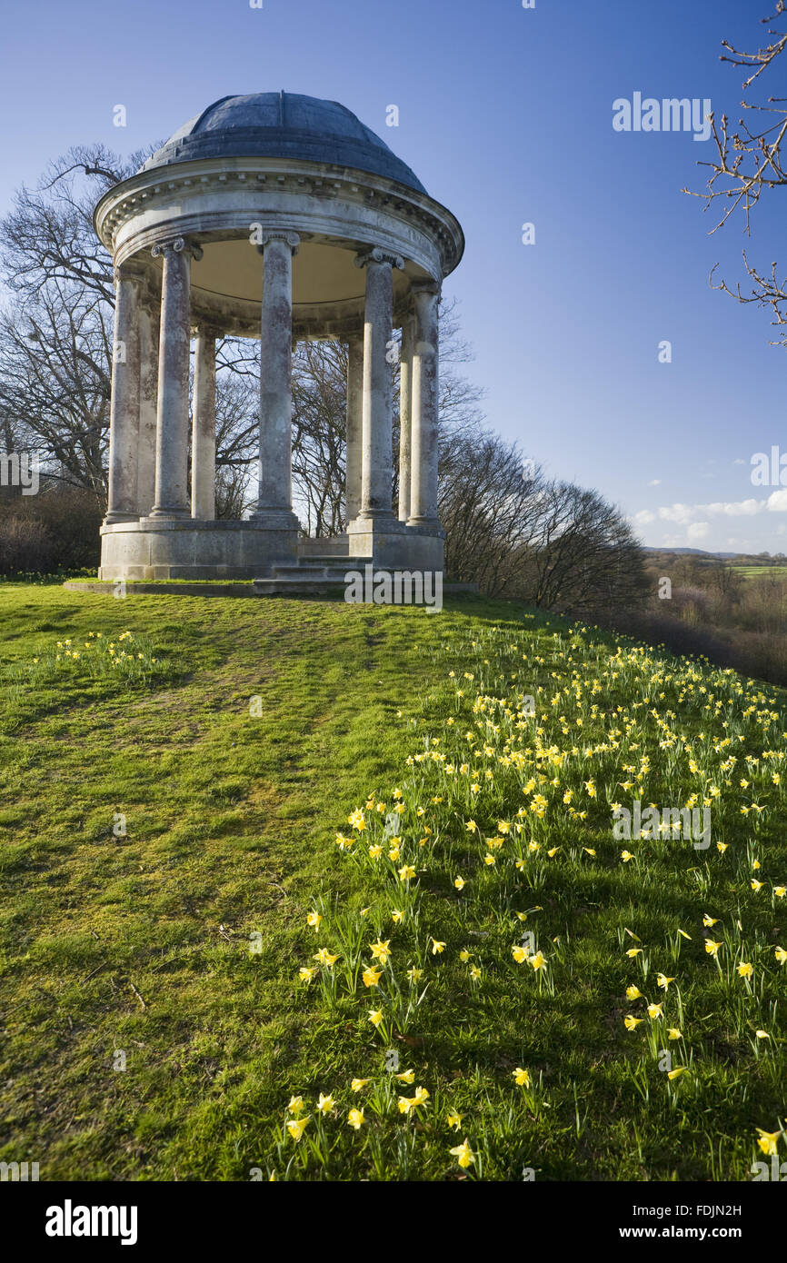 The rotunda built in 1766, and daffodils in the park at Petworth House ...