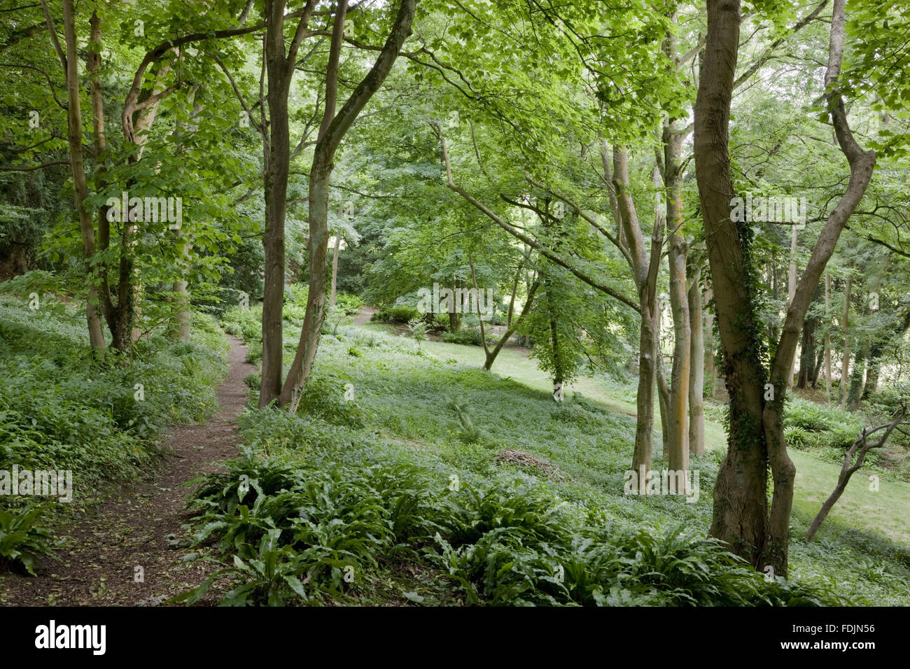 Prior Park Bath Somerset England High Resolution Stock Photography and ...