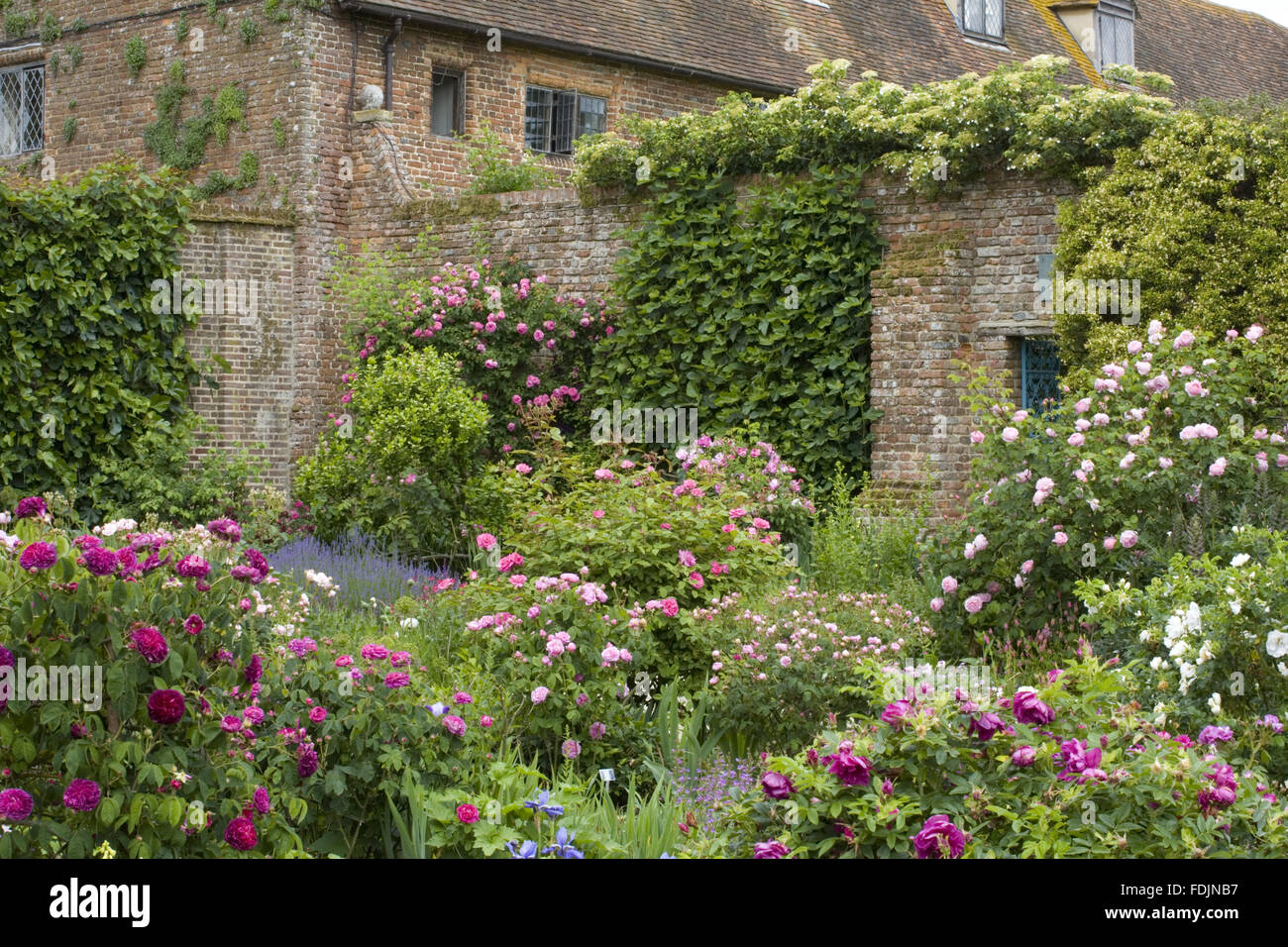 The Rose Garden in summer at Sissinghurst Castle Garden, near Cranbrook ...