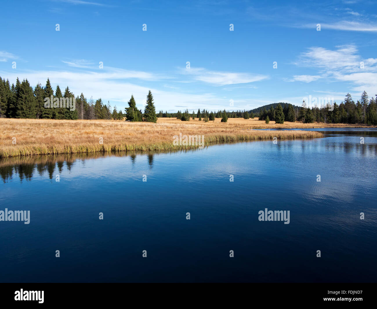 Dead pond in the Ore Mountains Stock Photo - Alamy