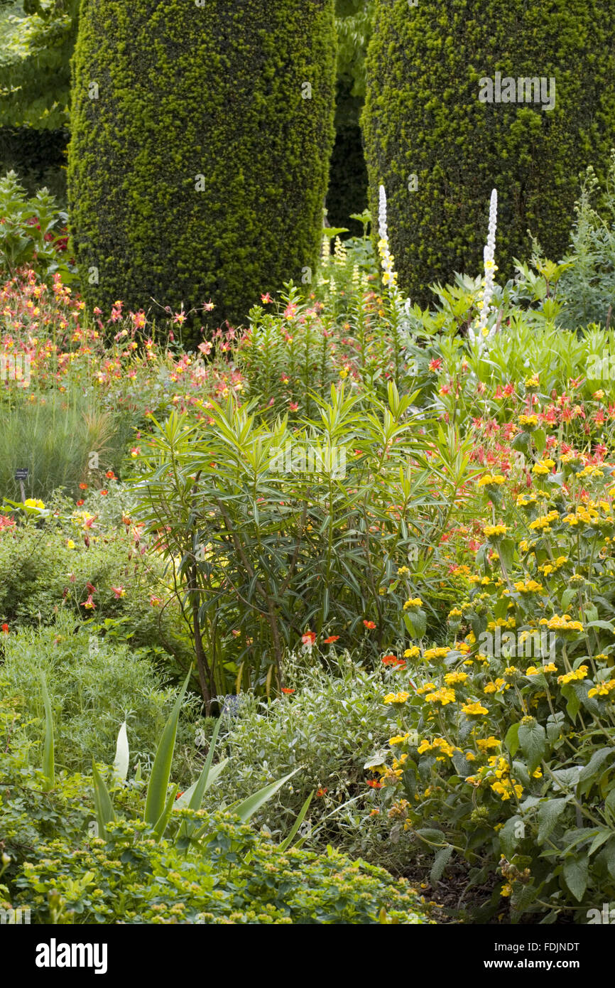 Summer planting in orange, yellow and red colours in the Cottage Garden ...