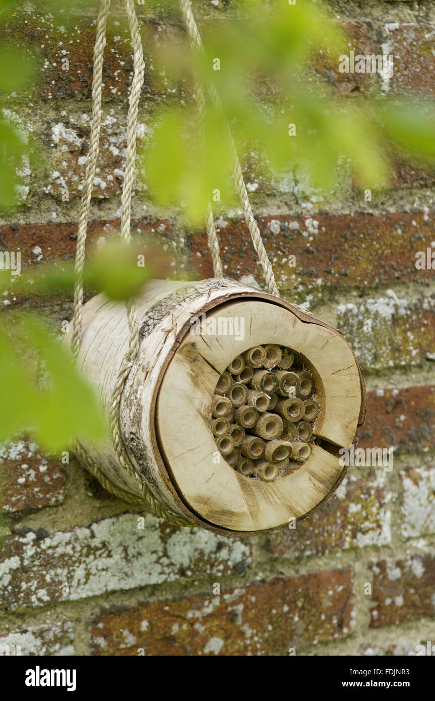 A bee nesting box Stock Photo - Alamy