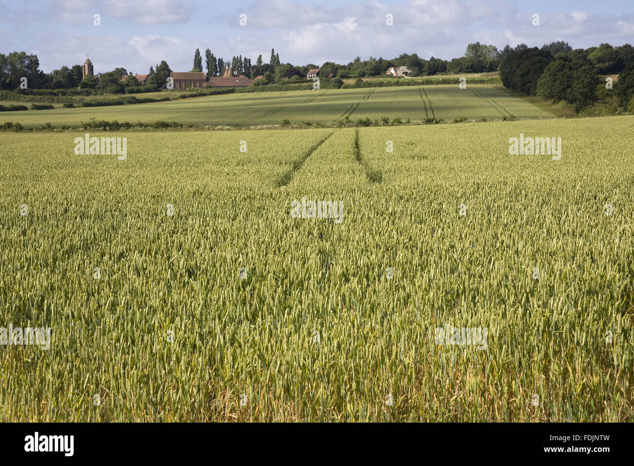 20th Century Farmland High Resolution Stock Photography and Images - Alamy