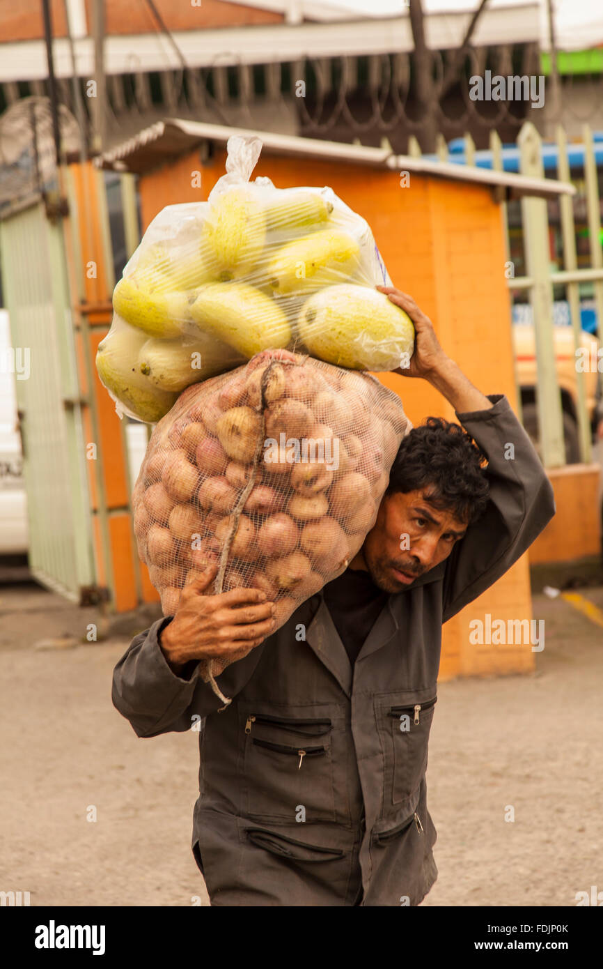 Man carrying vegetable sacks at the market at Bogota Paloquemao fruit ...