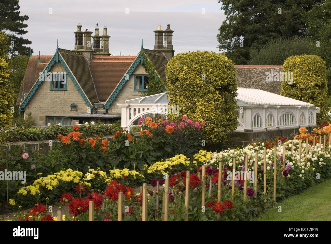 Dahlias at Cragside, Morpeth, Northumberland. The Dahlia Walk was ...