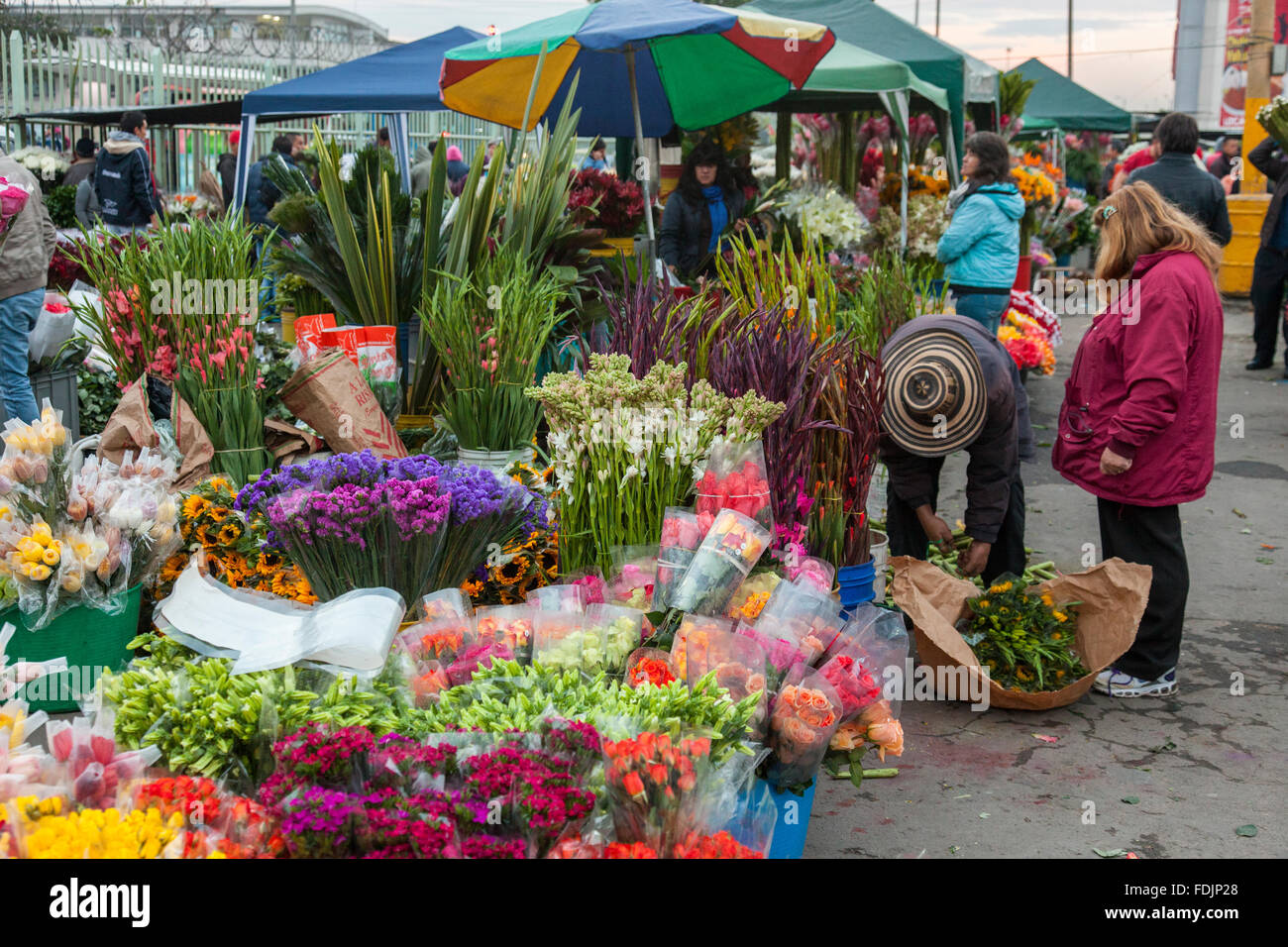Flowers at Paloquemao farmers flower market in Bogota, Colombia, South ...