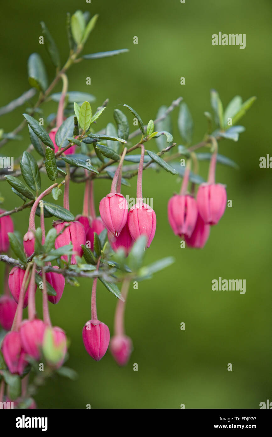 Jmemmetts hi-res stock photography and images - Alamy