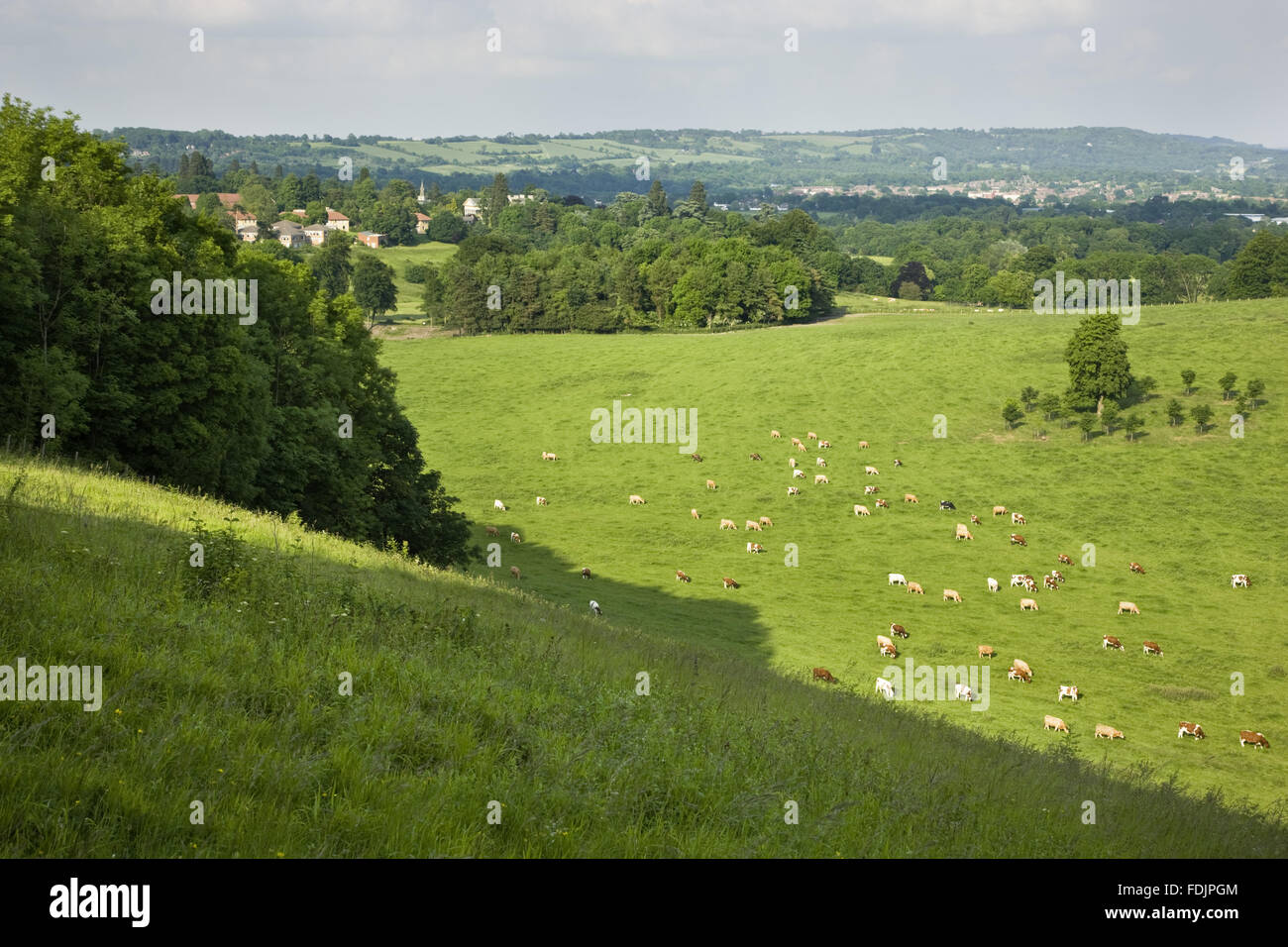 The view from Wingate Hill with Gatton Hall at Gatton Park, Surrey, in ...