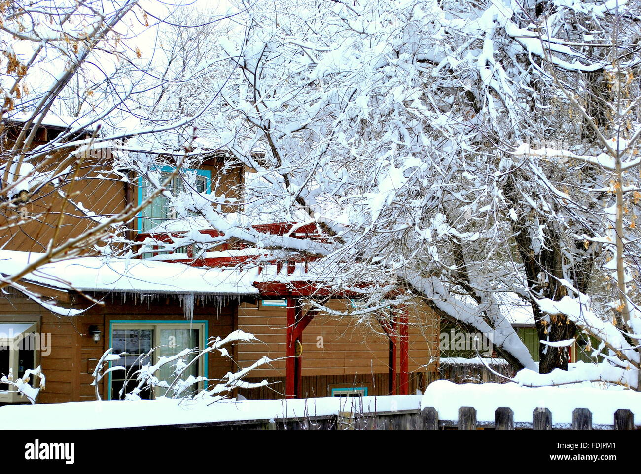 Winter snow outside Stock Photo - Alamy