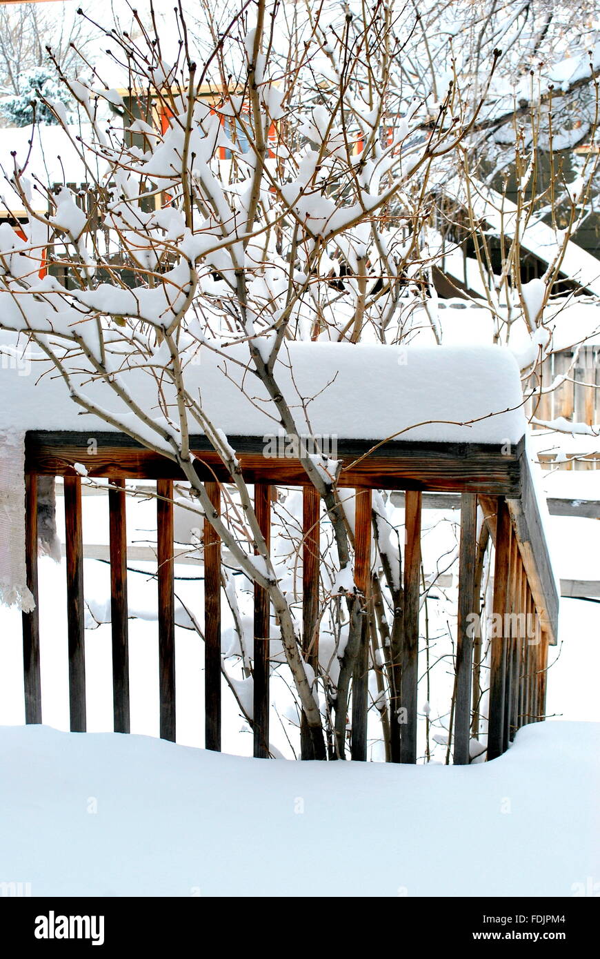 Winter snow outside Stock Photo - Alamy