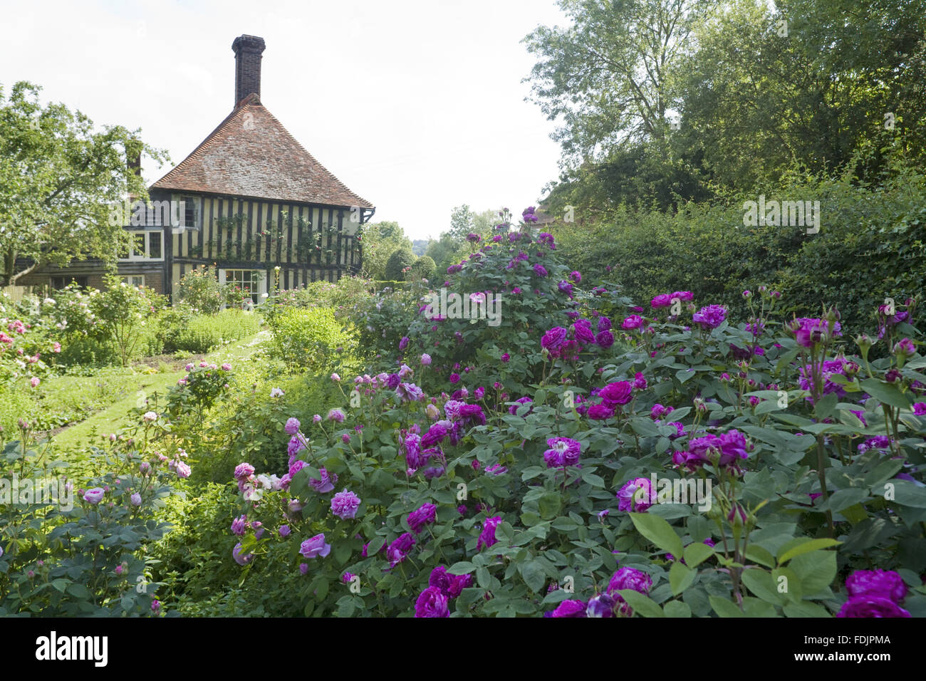 The garden and early sixteenth-century half-timbered house, Smallhythe ...