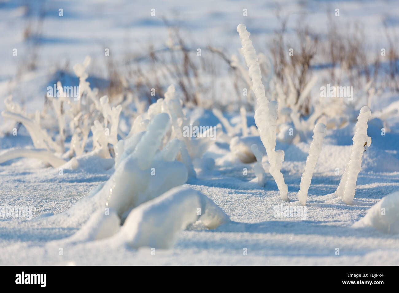 Ice plant construction hi-res stock photography and images - Alamy