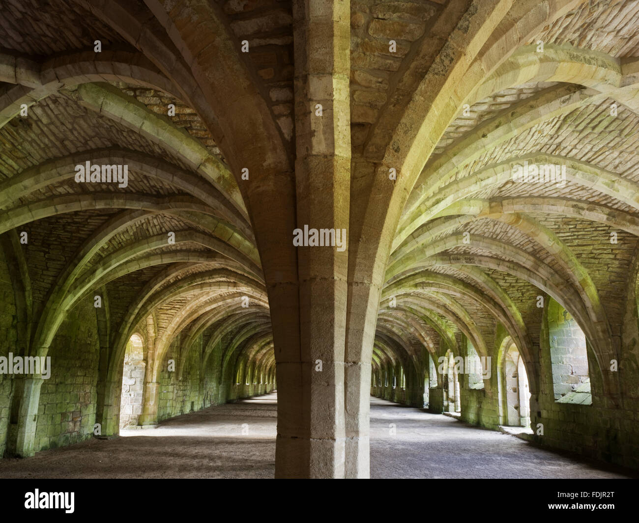 The vaulted ceiling of the Cellarium at Fountains Abbey, North ...