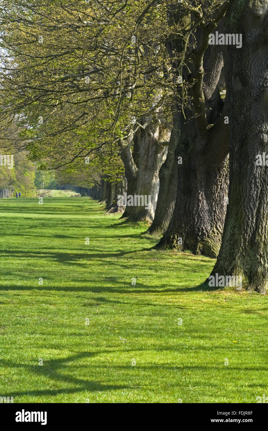Gibside hall hi-res stock photography and images - Alamy