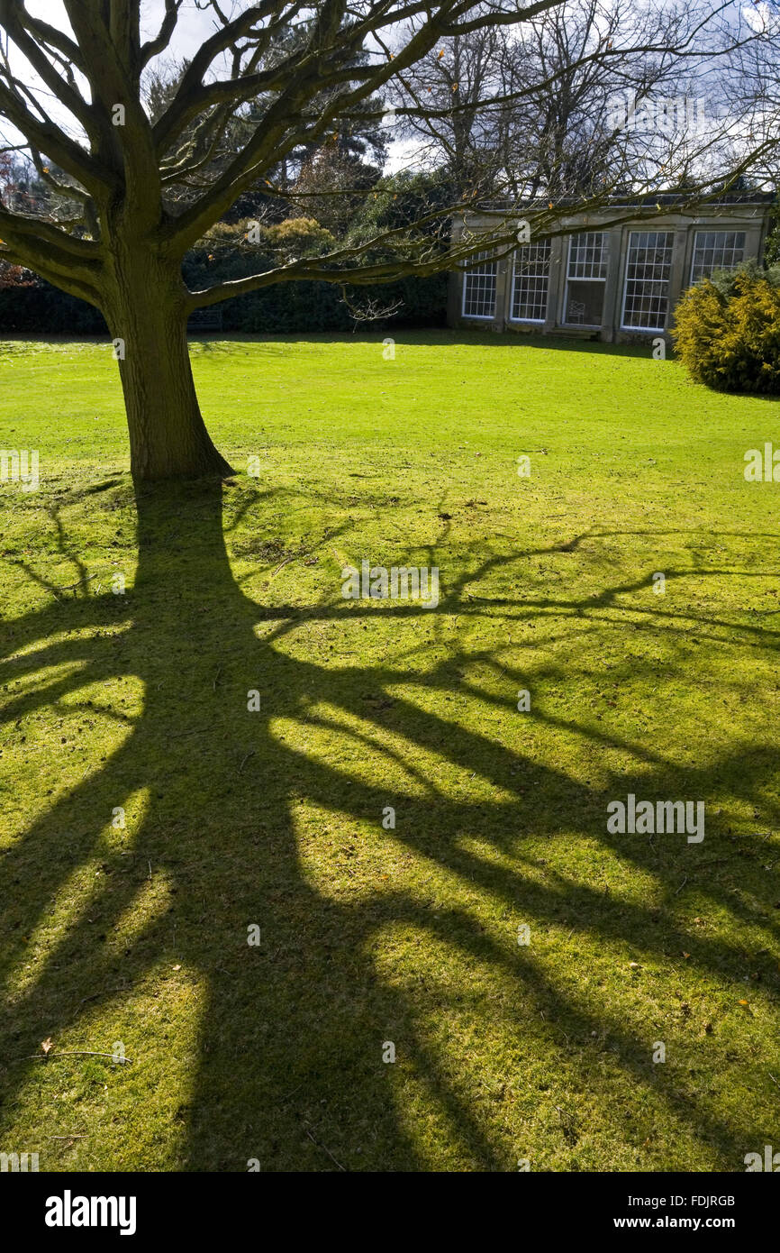 Long shadow of a tree in the garden at Kedleston Hall, Derbyshire, in ...