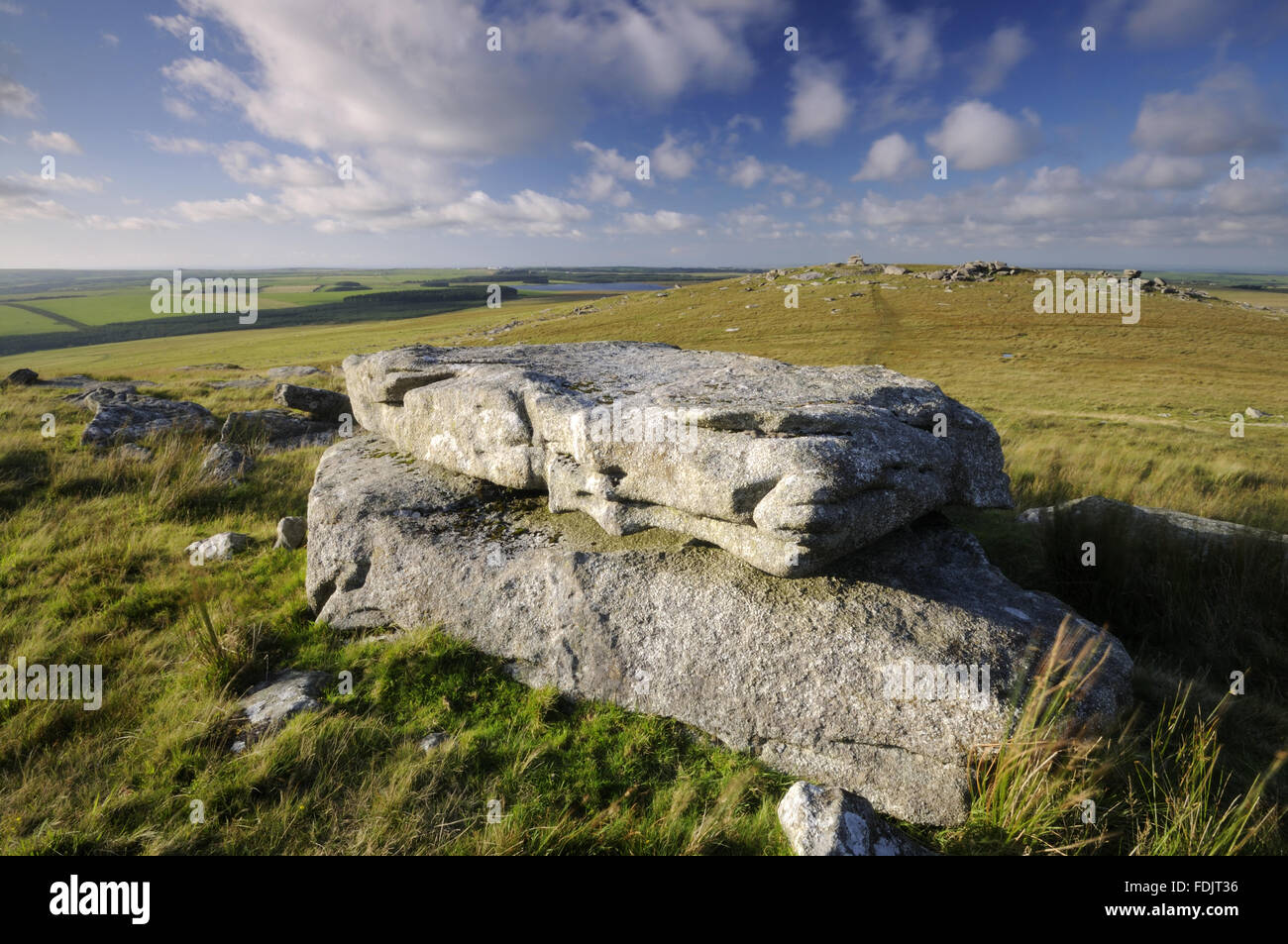 The granite outcrops of Rough Tor, Bodmin Moor, North Cornwall. The ...