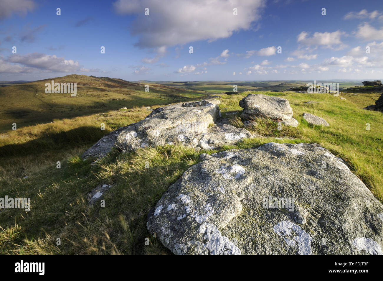 The granite outcrops of Rough Tor, Bodmin Moor, North Cornwall. The ...