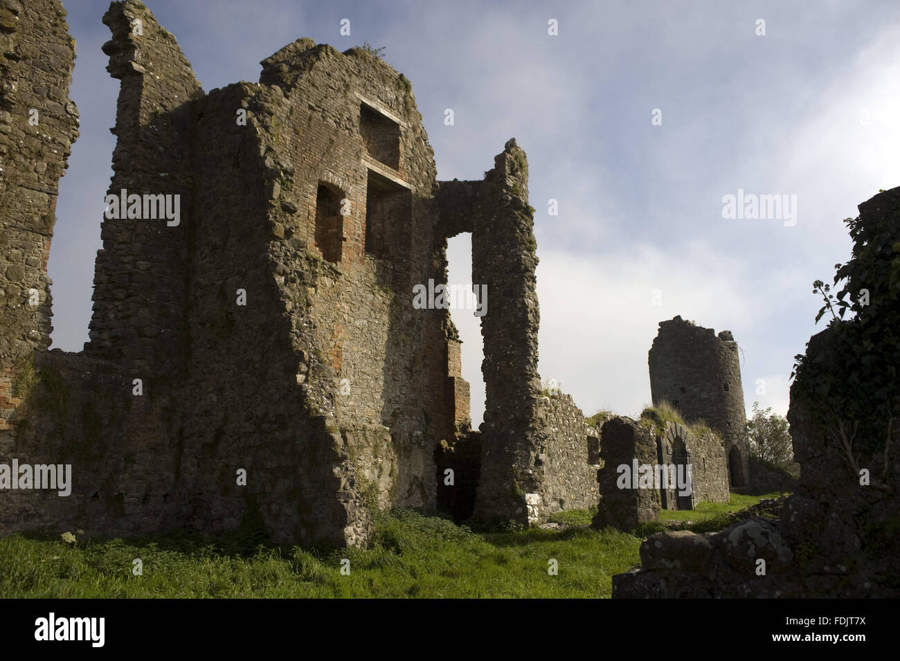 Ruins of the old tower-house on the shore of Lough Erne at Crom, Co ...