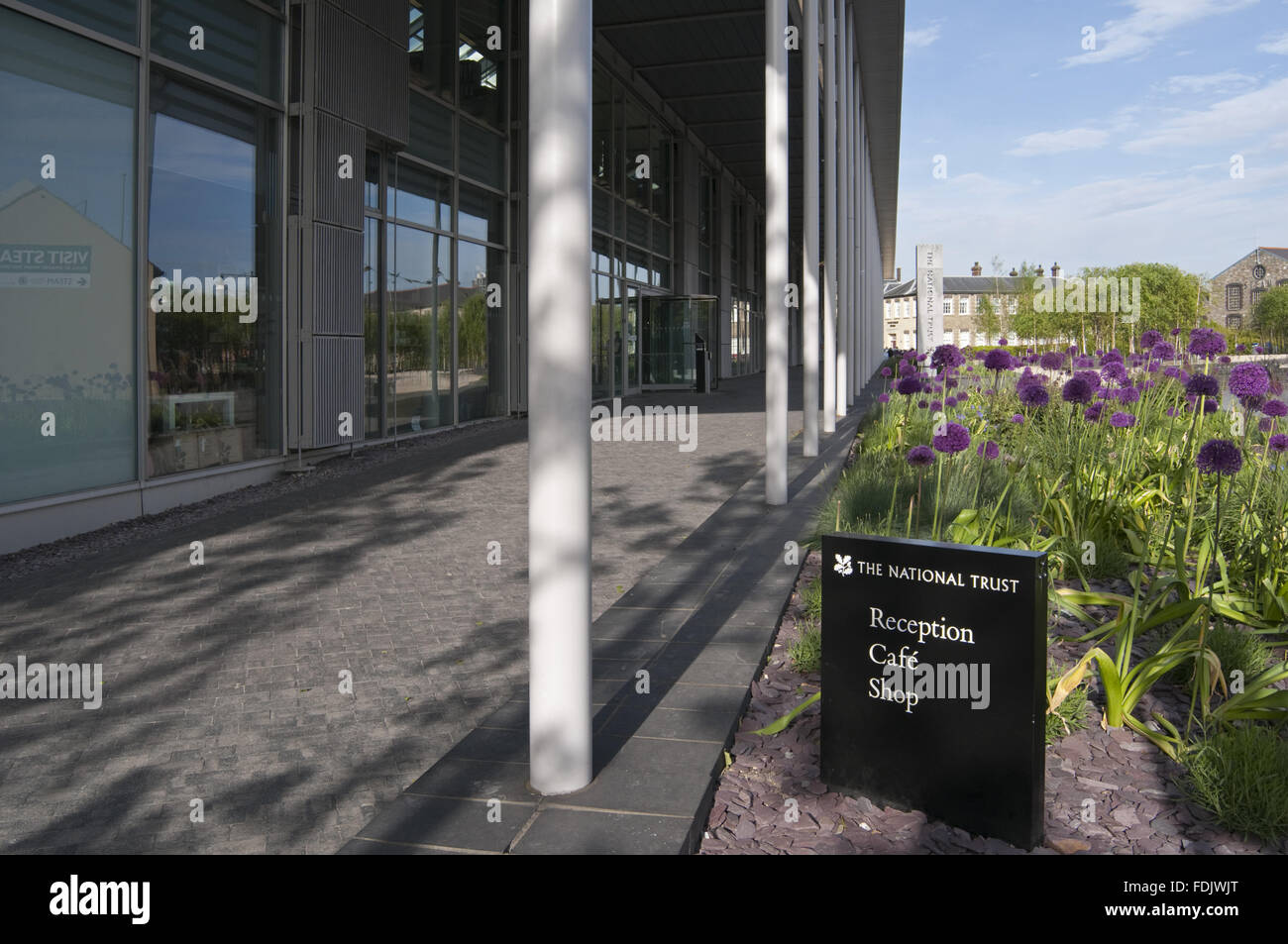 A view to the main entrance of Heelis with the Allium and lanvendar ...