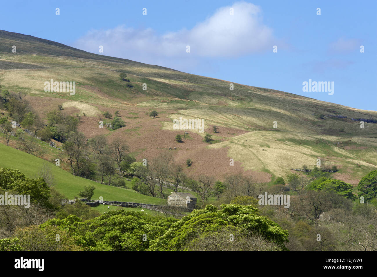 Langstrothdale, Yorkshire Dales, North Yorkshire Stock Photo - Alamy