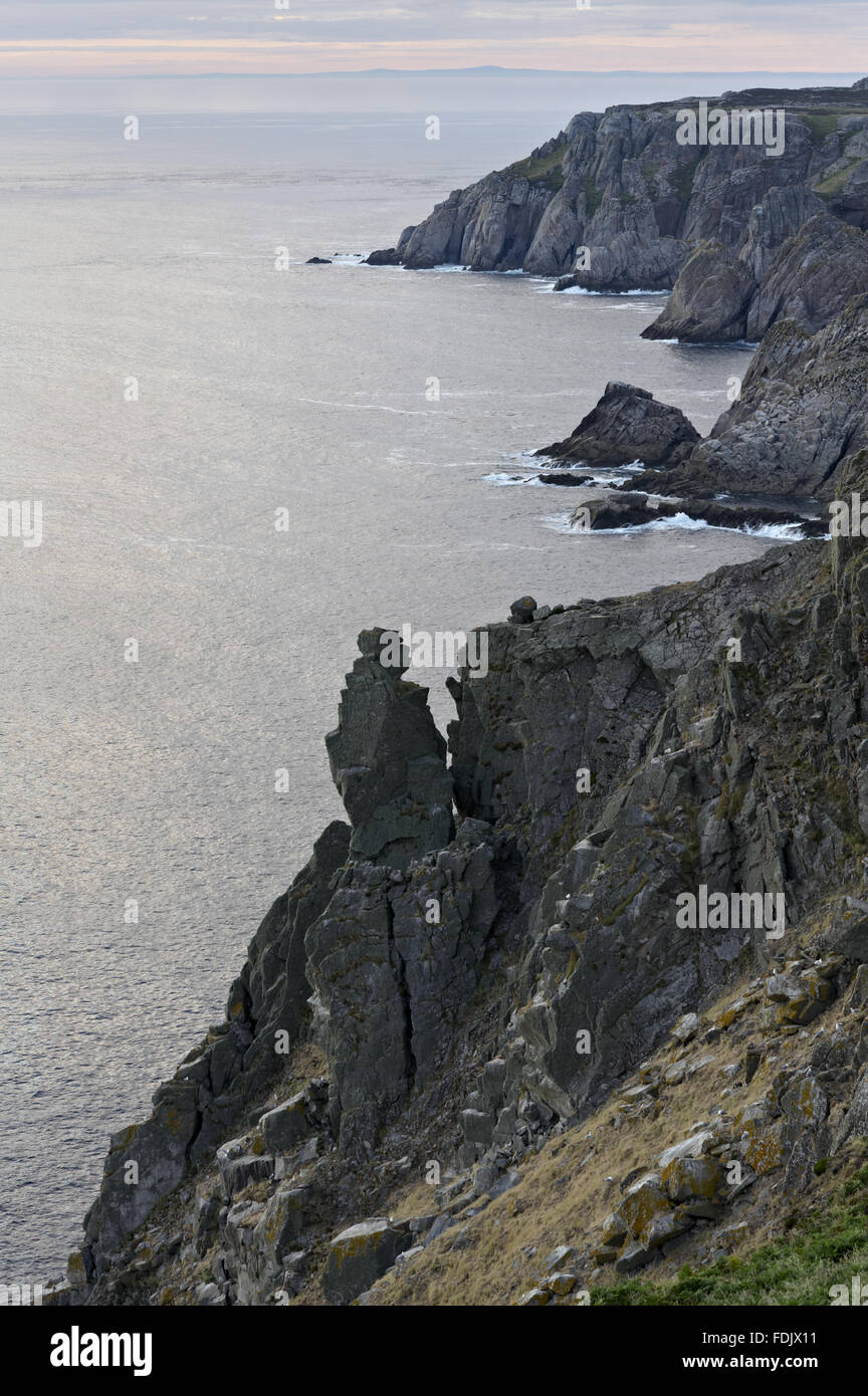 Granite stacks on the west coast of Lundy. The island is a Site of ...