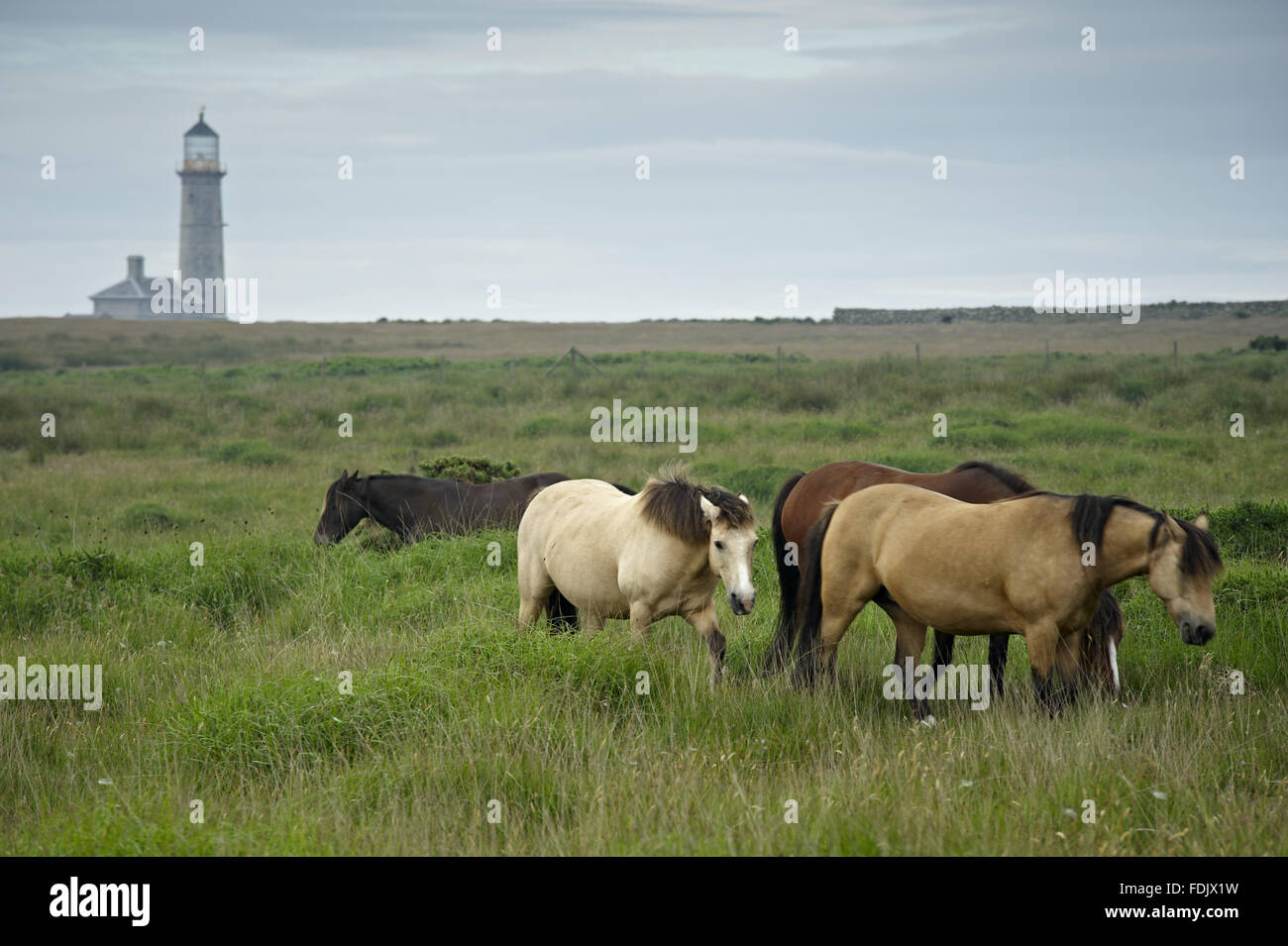 Visible on the island hi-res stock photography and images - Alamy