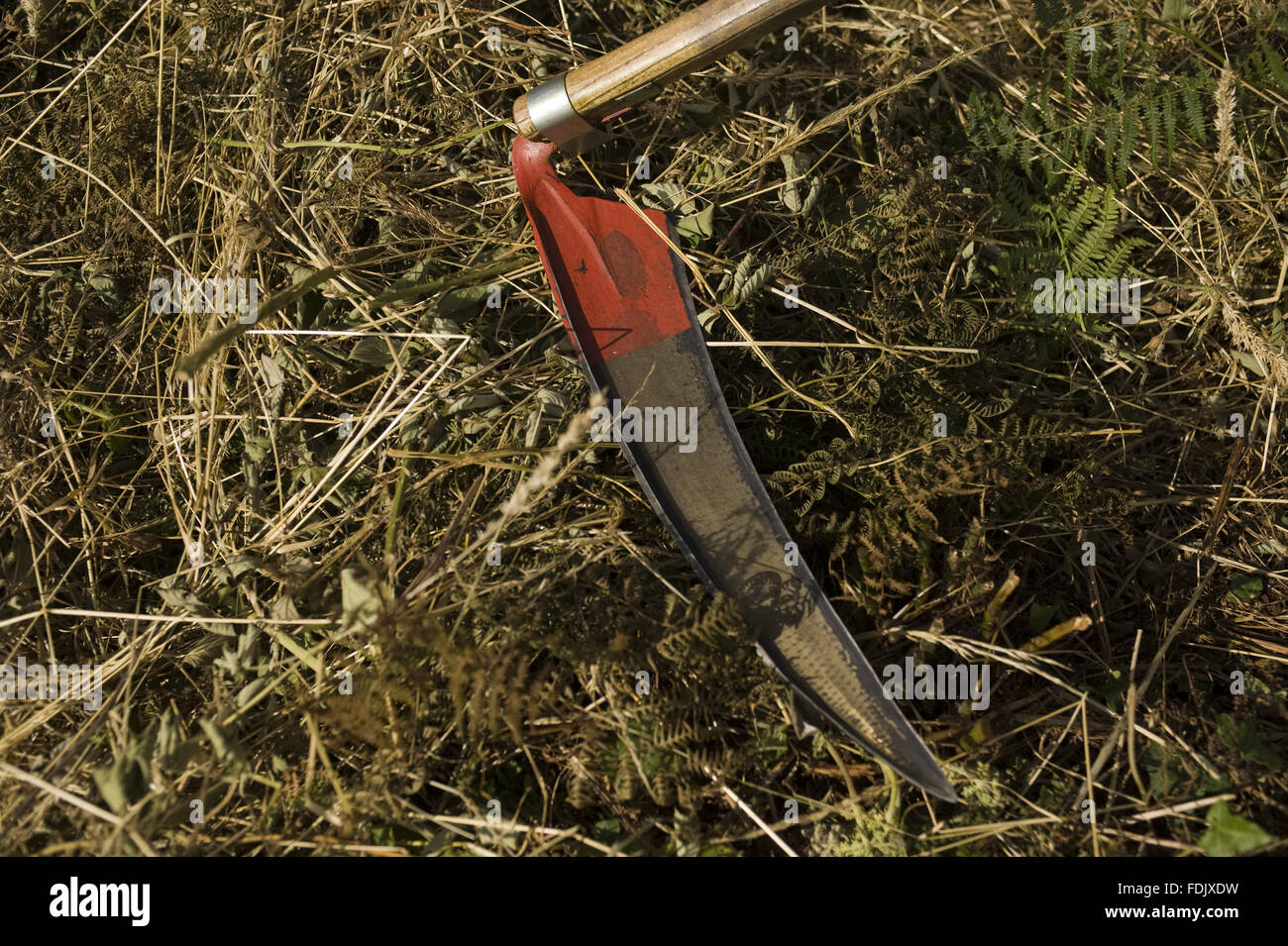 Farming scythe hi-res stock photography and images - Alamy